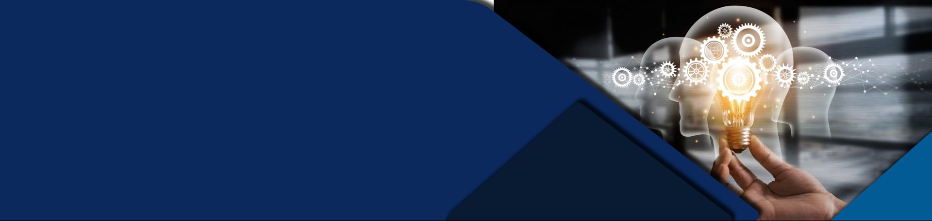 Get access to continuous optimization and innovation techniques - Testree